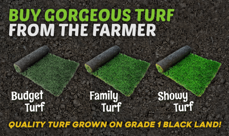 Buying Guide - Buy Fresh Turf